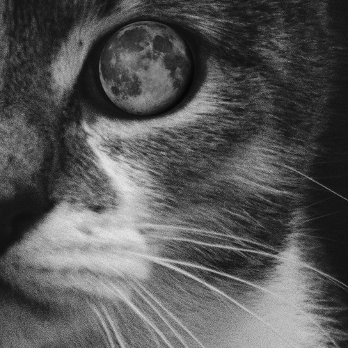 KCKX - Listen to music