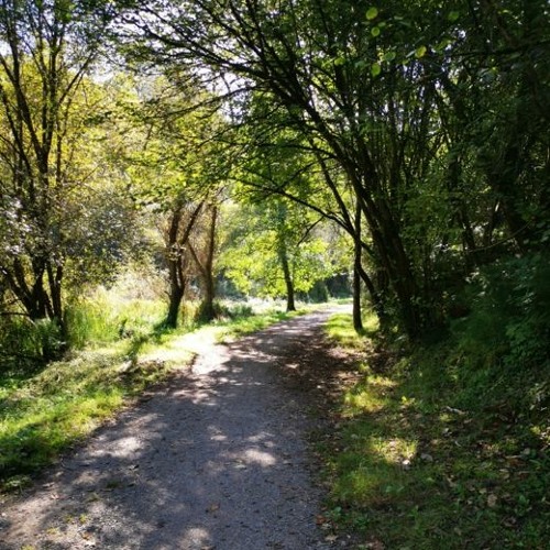 Stream Parque de la Acebera, Lugones, SPAIN by wild_rumpus | Listen ...
