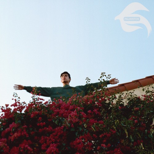 Stream episode Entrevista a Danny Schiller by RADIOMÁS podcast | Listen ...