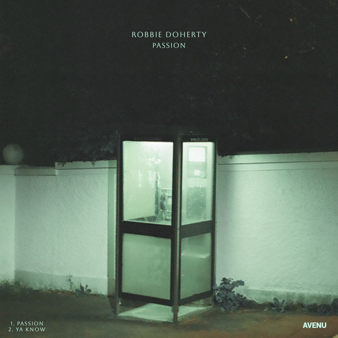 Stream Passion by Robbie Doherty | Listen online for free on SoundCloud