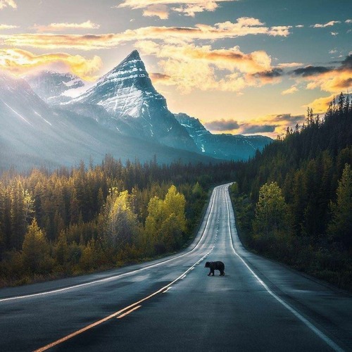 Stream The mountain road by Cyred | Listen online for free on SoundCloud