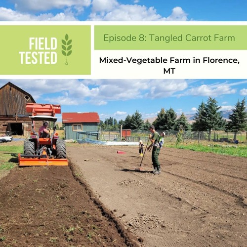 Stream episode Episode 8: Tangled Carrot Farm by Community Food ...