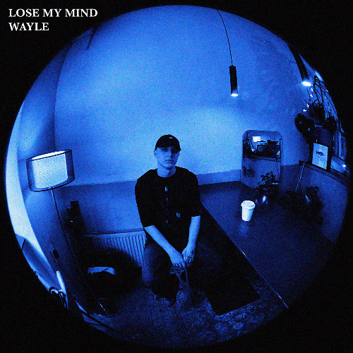 Stream lose my mind by wayle | Listen online for free on SoundCloud