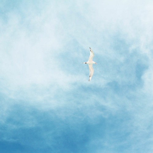 Stream Episode The Polymath Part Ii After The Surprise By Truly Feel