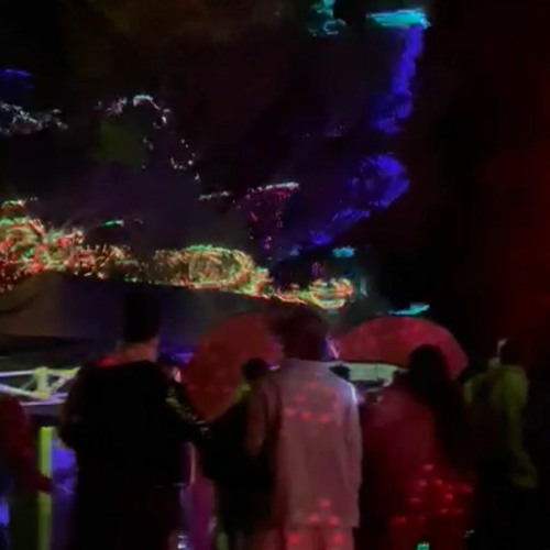 Stream Ruby Dooby Doo - Freefolk 2022 Set by Ruby Dooby Doo | Listen ...