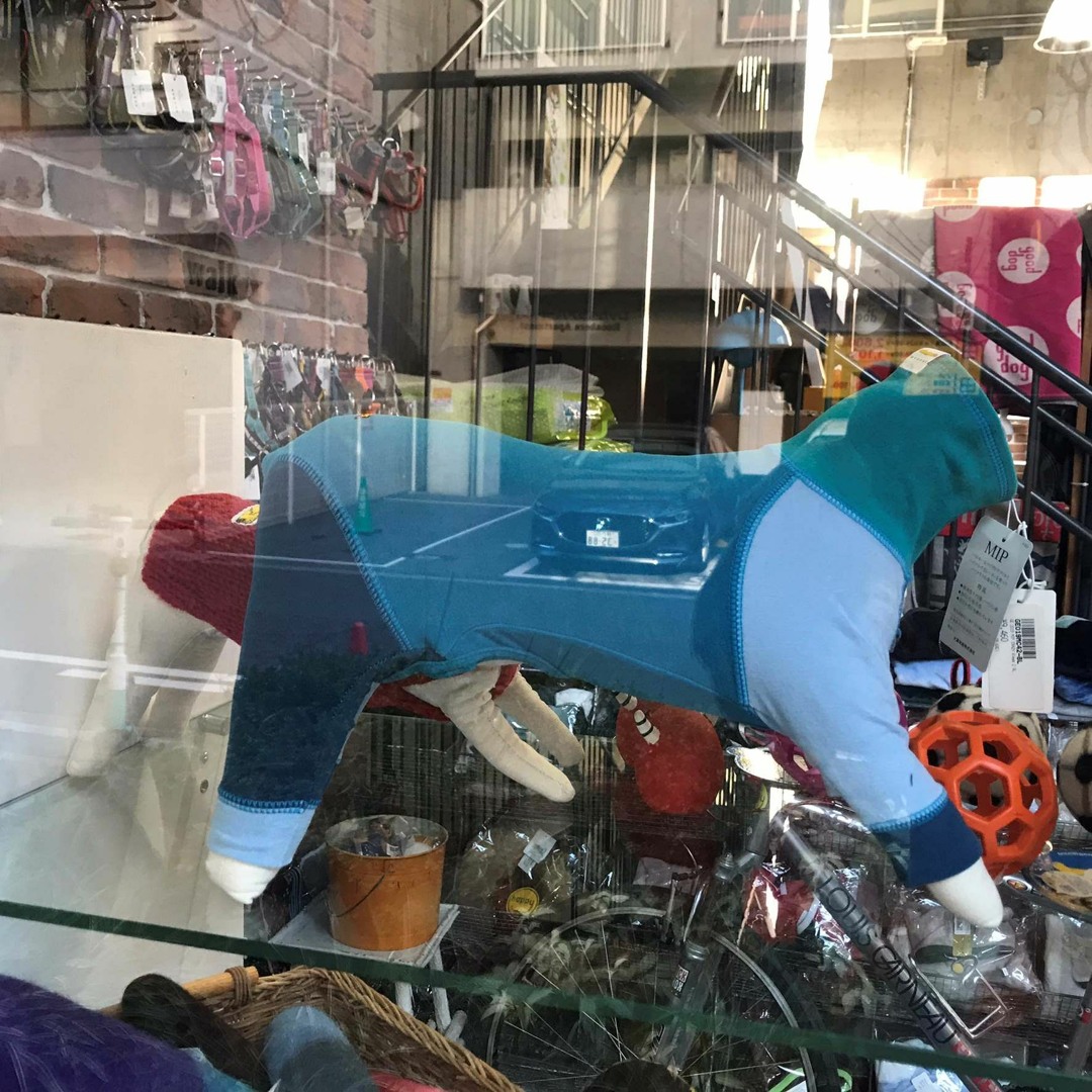 Stream The Future of Techno Music - For Me (260) by Amekaze Hanako ...