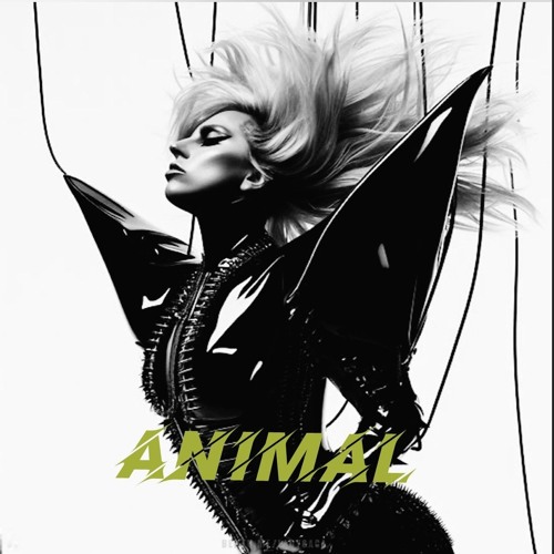 Stream Lady Gaga - Animal (AI Rework) by Aarón ACRO | Listen online for ...