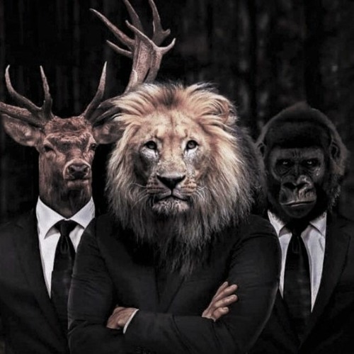 Stream Highly for POLSKA ON JUNGLETRAIN 23rd June, 2023 [part 1] by ...