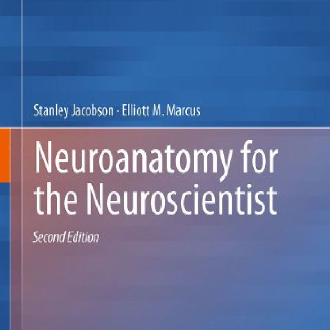 Stream PDF Neuroanatomy for the Neuroscientist download from Hayleyhead ...