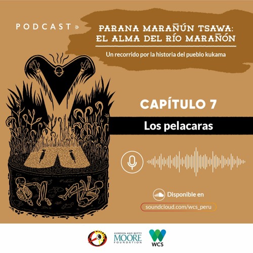 Stream episode Cap. 7: Los Pelacaras by WCS Perú podcast | Listen ...