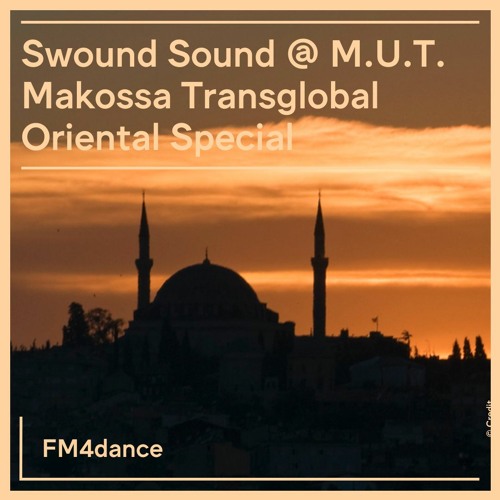 Stream FM4 Swound Sound #1394 by Swound Sounds | Listen online for free ...