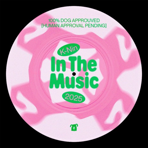 Stream K-Nin - In The Music [Free DL] by K-Nin | Listen online for free ...