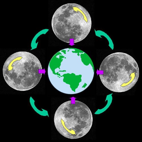 Stream episode 6/2/25 - Does The Moon Rotate? by Backyard Astronomer ...