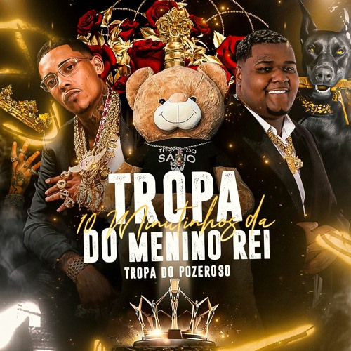 Stream 10 Minutinhos Da Tropa Do Menino Rei - Tropa Do Pozeroso - DJ Lafon Do MD by RODA DE FUNK ...