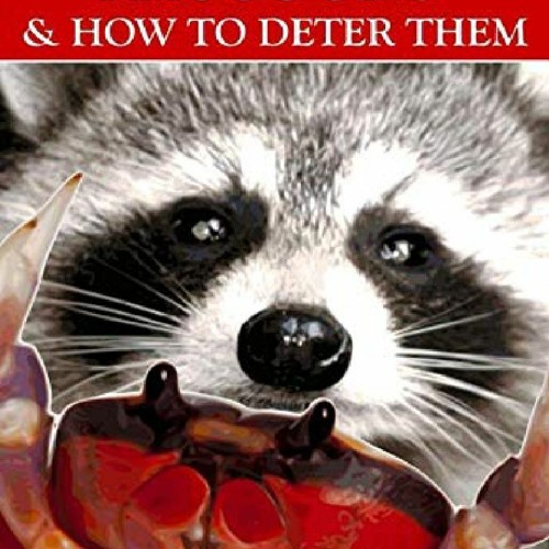 Stream PDF Understanding Raccoons and How to Deter Them: Raccoon Proof ...