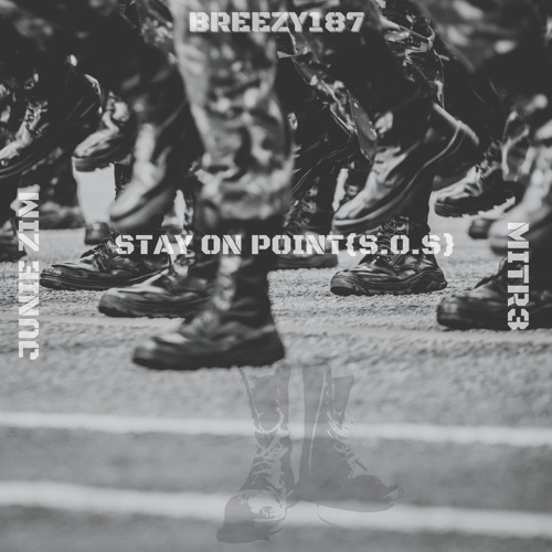 Stream STAY ON POINT (S.O.S) FT. MITR3&JUNIE ZIM by Breezy187 | Listen ...