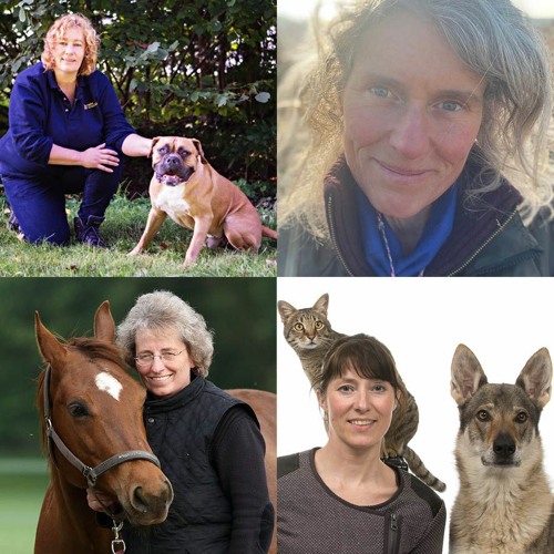 Stream Debbie Rijnders in gesprek met Sam Turner, Yvette van ...