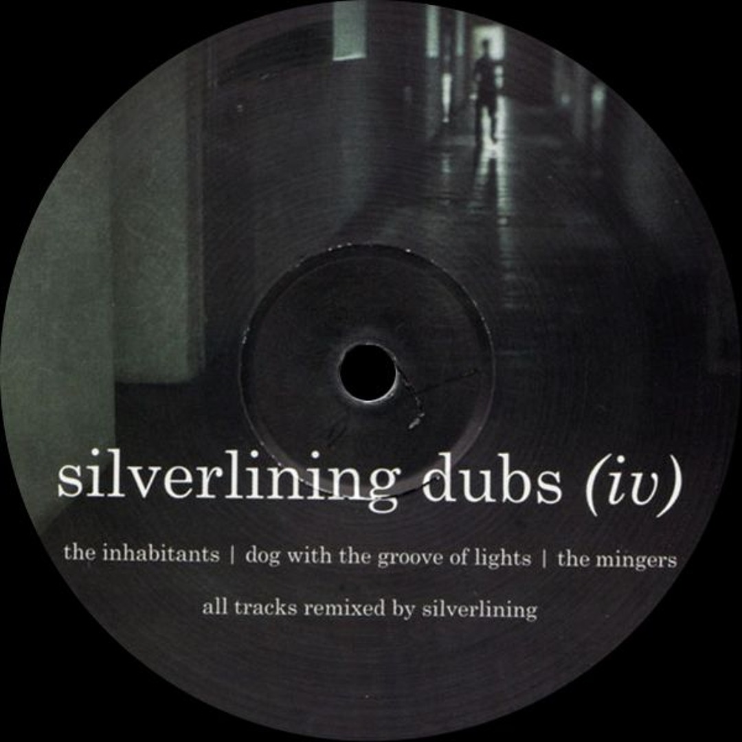 Stream The Mingers ─ Emancipation (Silverlining Remix) [SvD004] by ...
