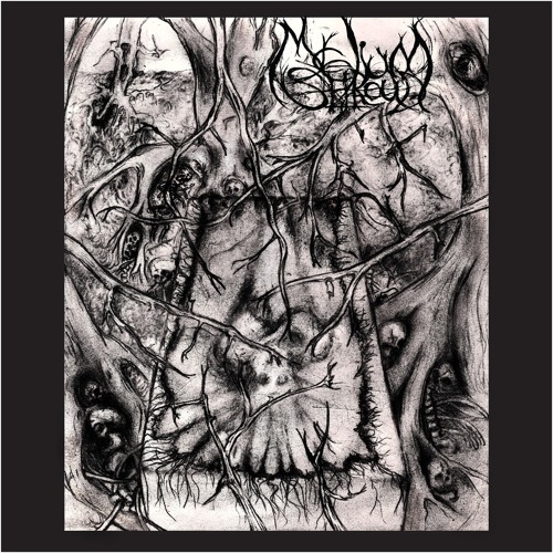 Stream This Rotten Thing by Mycelium Shroud | Listen online for free on ...