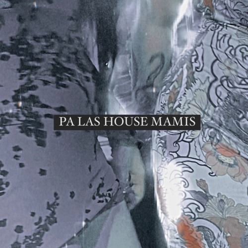 Stream PA LAS HOUSE MAMIS by VISIONISTA1111 | Listen online for free on ...