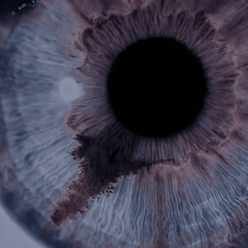 Listen to music albums featuring ho3ein-x-shayea-x-sorena-telo-remix ...