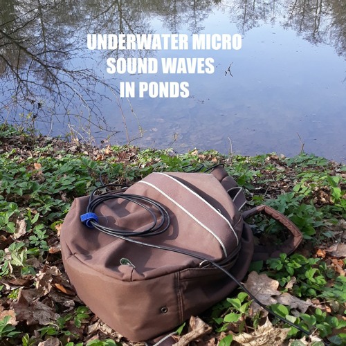 Stream UNDERWATER MICRO SOUNDS IN PONDS (Clicks, Kicks, Voices & Noises ...