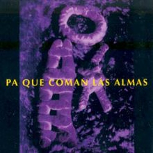 Stream 04 Mario Berna. Ayquina, 1996 - María Magdalena by Museo ...