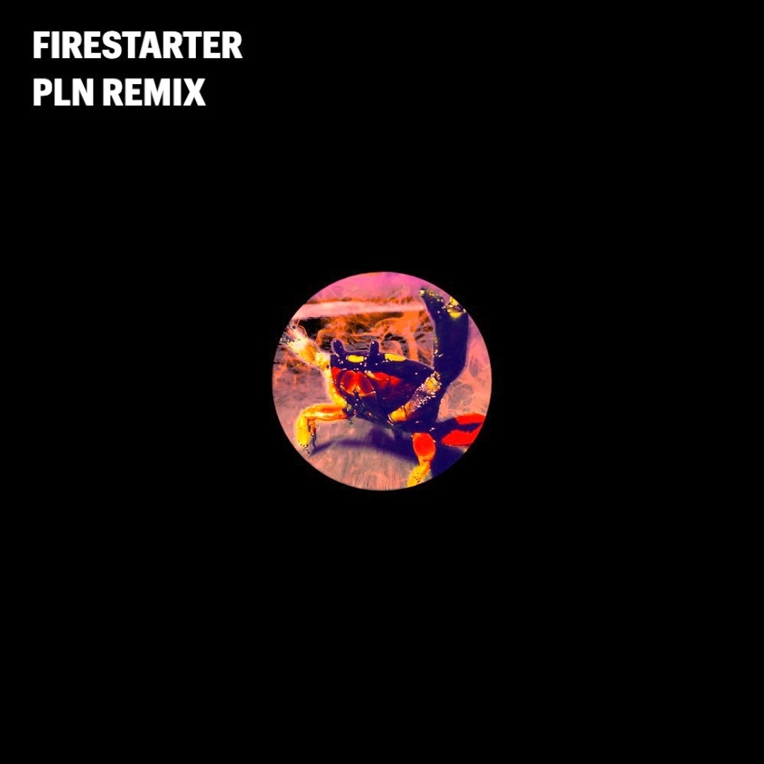 Stream The Prodigy - Firestarter (PLN Remix) by PLN | Listen online for ...