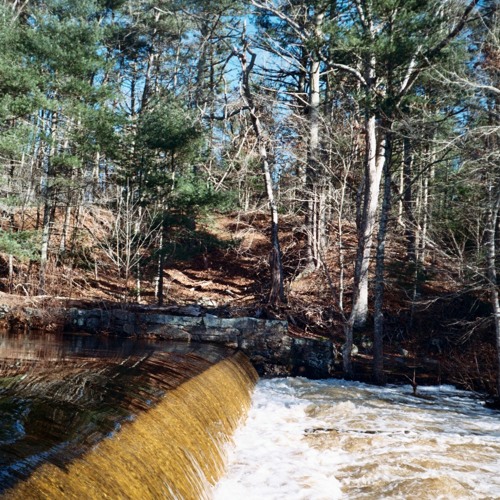 Stream Me and Peter (DEMO) by Casey Rivers | Listen online for free on ...