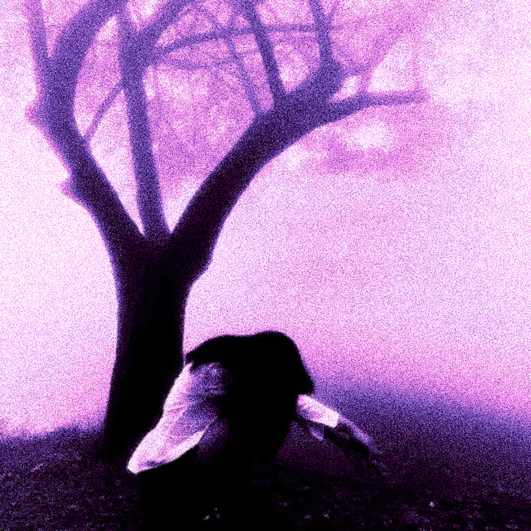 Stream RIP ME APART:/ by wednesday's restless | Listen online for free ...