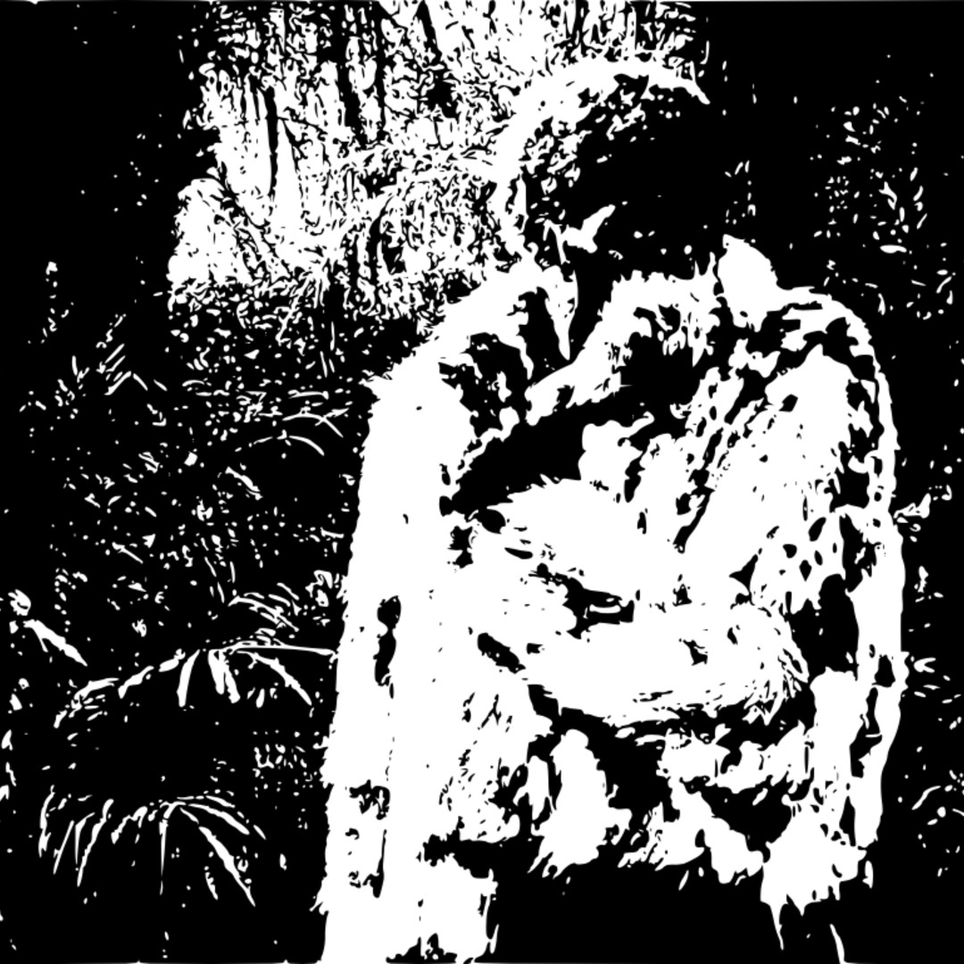 Stream Drocetti | Listen to you can't just fill the void playlist ...