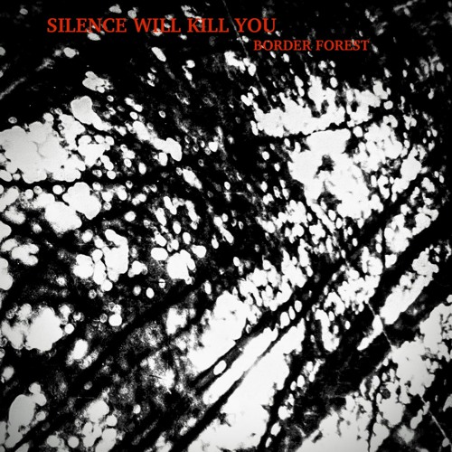 Stream BORDER FOREST by SILENCE WILL KILL YOU | Listen online for free ...