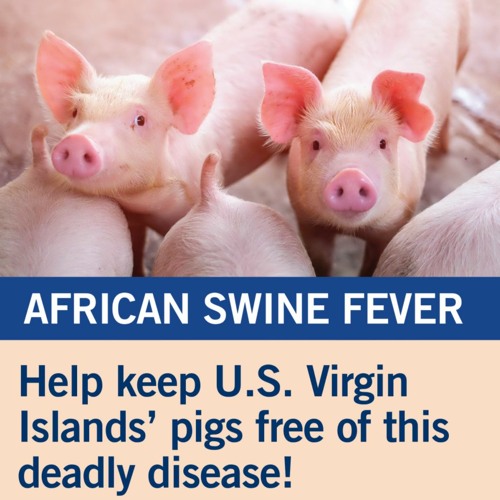 Stream APHIS ASF Radio PSA English by La Red Hispana | Listen online ...