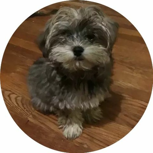 Stream 9vitals | Listen to prod me playlist online for free on SoundCloud