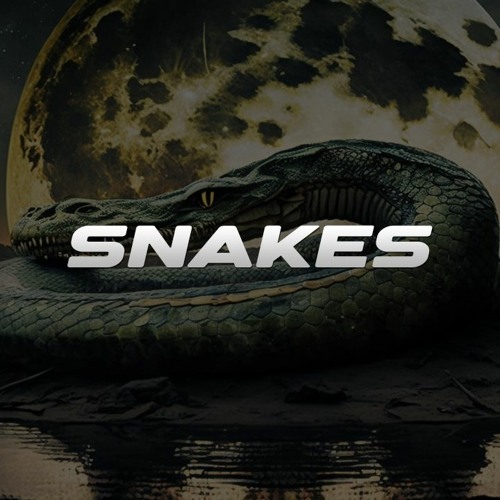 Stream "Snakes" - Grimey Boom Bap Beat 2023 | Grimey Boom Bap Type Beat ...