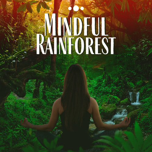 Stream Deep Relaxation Exercises Academy | Listen to Mindful Rainforest ...