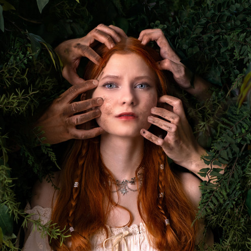 Stream Bears & Wolves by Lilith Max | Listen online for free on SoundCloud