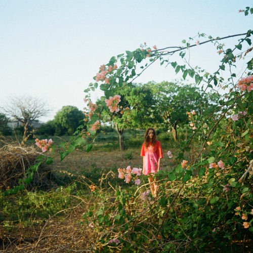 Stream Calm Roots w/ Alex Rita 060323 by NTS Monday | Listen online for ...