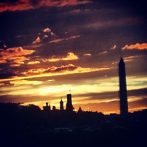 Stream Aviator by Hassen Cherifi AKA DJ Dey | Listen online for free on ...