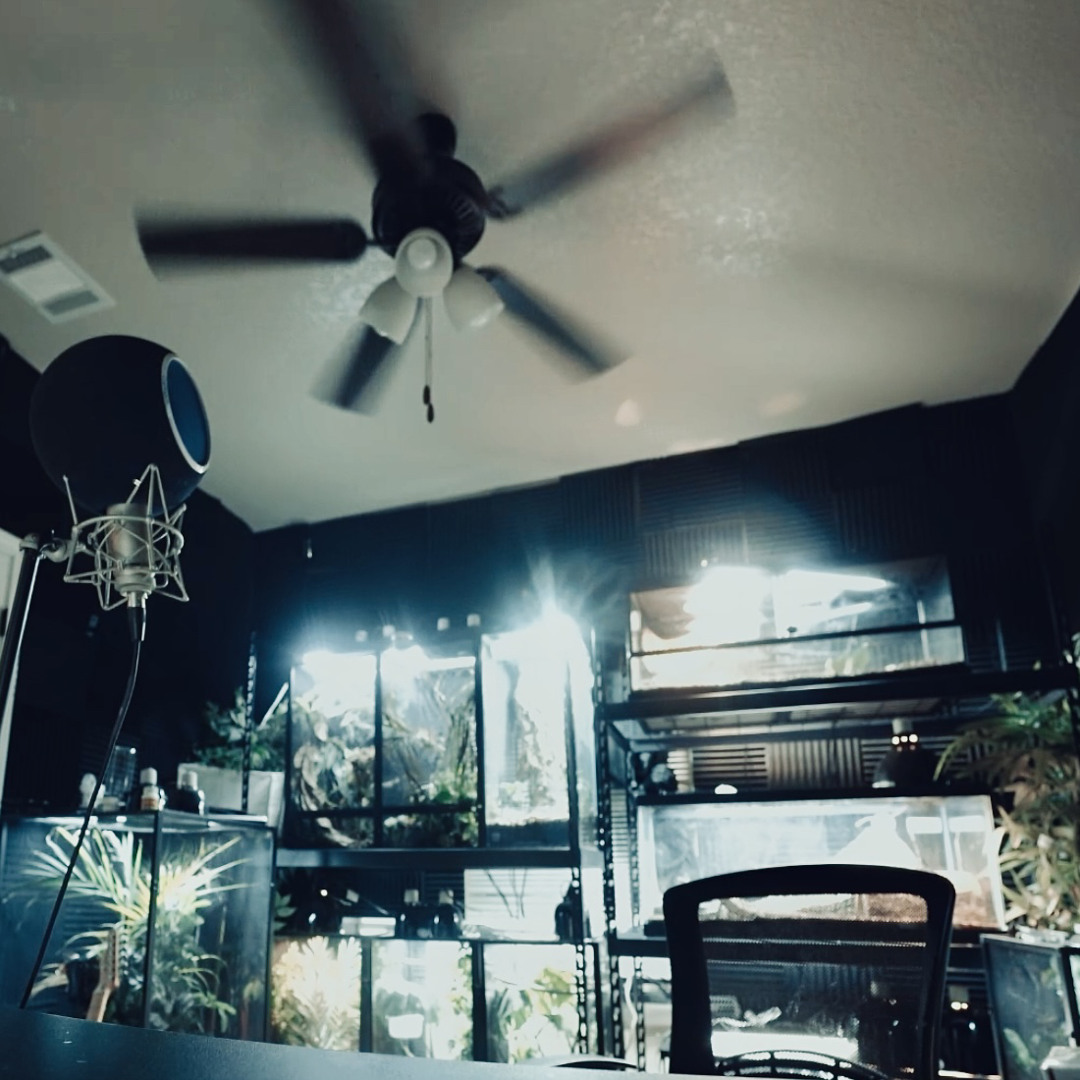 Stream Jace! - Alphabet (Prod. iayze) (Sneako's Stream) by J9ce ...