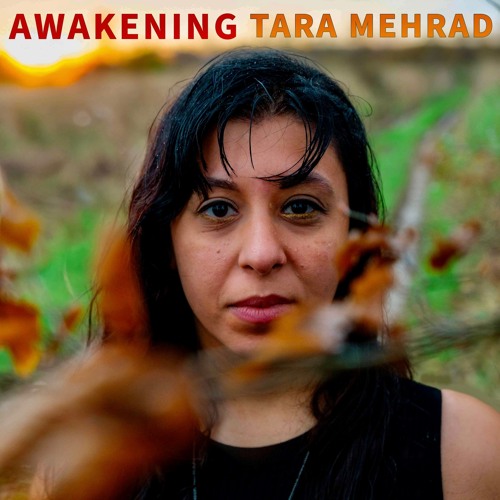 Stream The Secret Of The Wheel by tara mehrad | Listen online for free ...