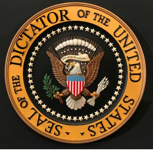 Stream We’ve Already Got a Dictator-in-Chief: How Absolute Power ...