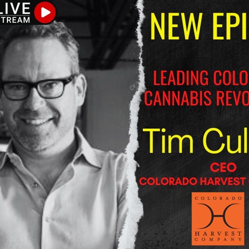 Stream episode Interview with Colorado Harvest Company CEO Tim Cullen ...