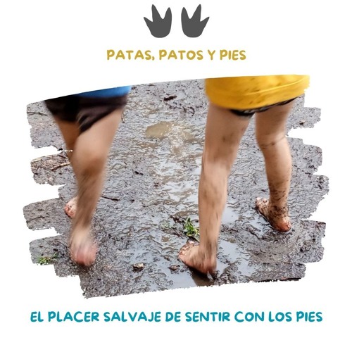 Stream Patas, patos y pies. DEMO by Aroavivavoz | Listen online for ...