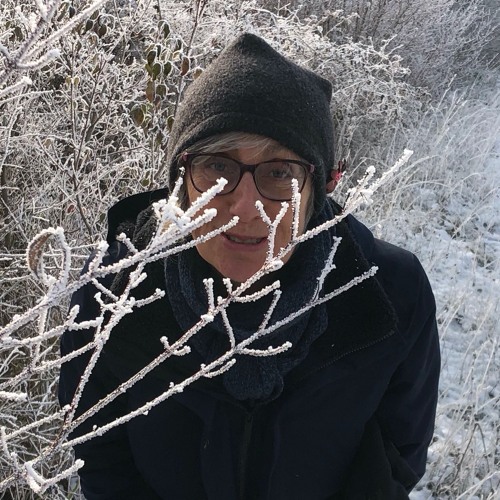 Stream That Was The Worst Christmas Ever by Christopher Cafiero 1 ...