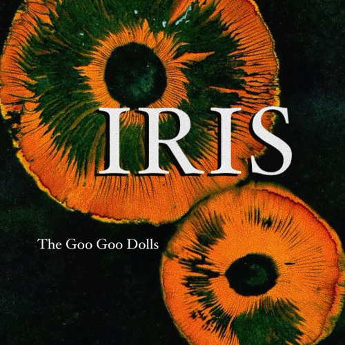 Stream IRIS (Cover) by hami | Listen online for free on SoundCloud