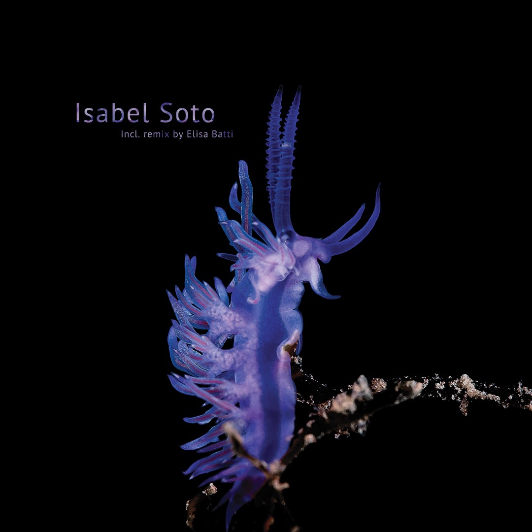 Stream BCCO Premiere: Isabel Soto - Tunnel Ost by BCCO | Listen online ...