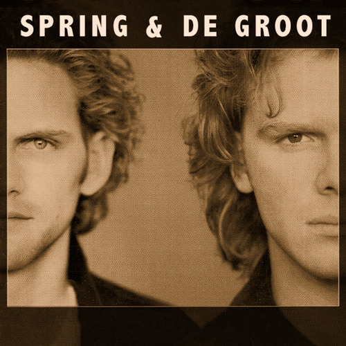 Stream Waarom & Wanneer by Spring & De Groot | Listen online for free ...