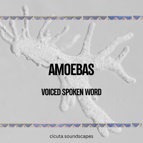 Stream Amoebas - Final (Voiced Spoken Word, Maria Teresa Horta ...