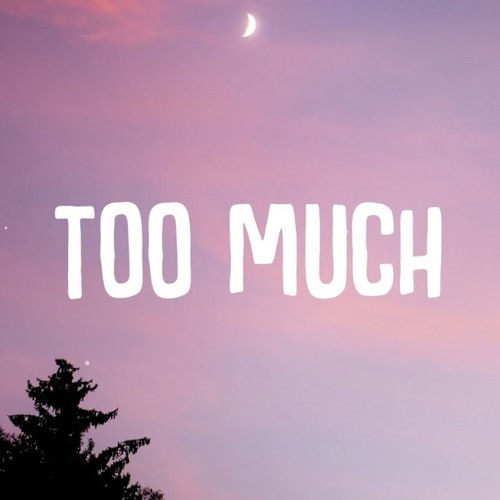 Stream The Kid LAROI “Too much” remix by Lane | Listen online for free ...